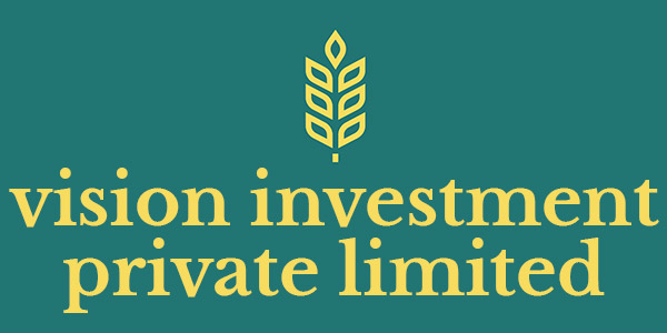 Welcome to - Vision Investment Private Limited - Corporate Financial ...